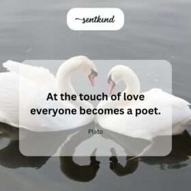 50+ Philosophical Love Quotes to Inspire Deep Thought and Romance