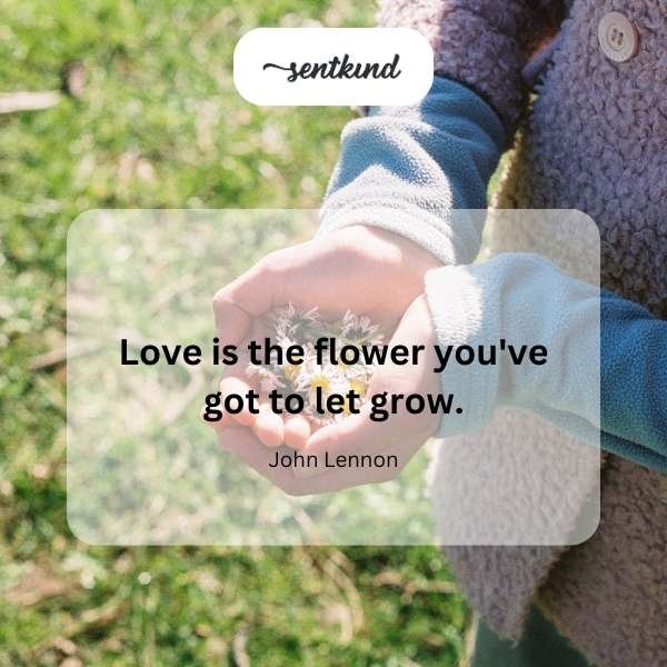 60+ Timeless Romantic Poetic Love Quotes to Inspire Your Heart