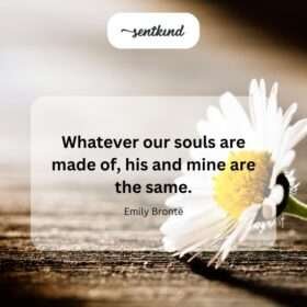 60+ Timeless Romantic Poetic Love Quotes to Inspire Your Heart