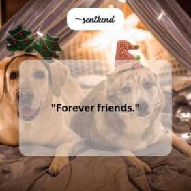 100+ Heartfelt Quotes About Old Friends