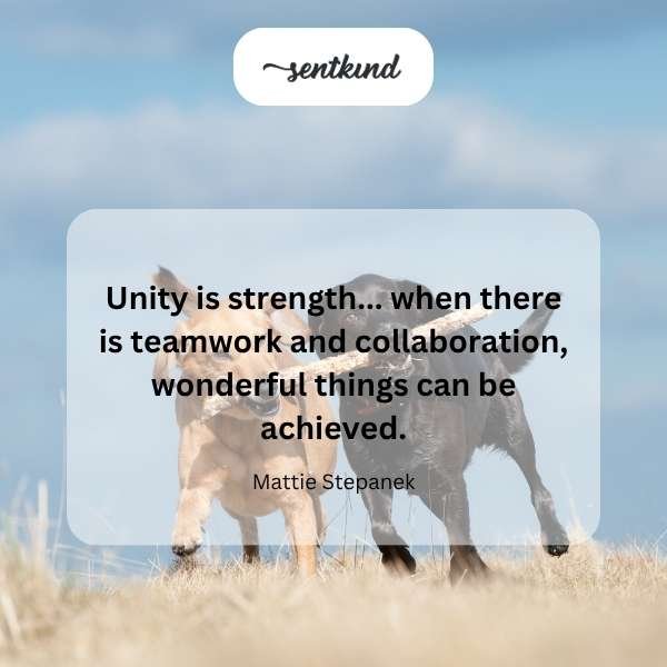 100+ Teamwork Quotes To Inspire Collaboration And Creativity