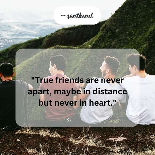 100+ Heartfelt Quotes About Old Friends