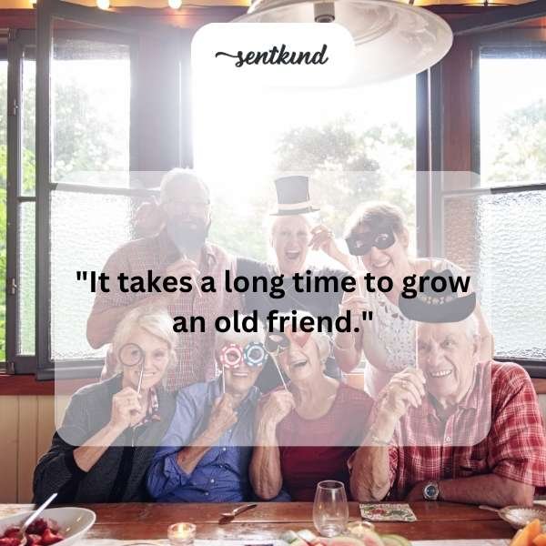 100+ Heartfelt Quotes About Old Friends