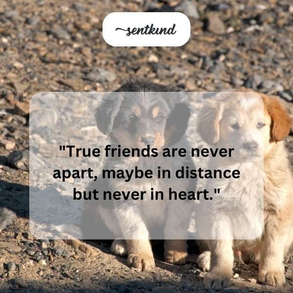 120+ Heartfelt Long-Distance Friendship Quotes for Your Unbreakable Bond
