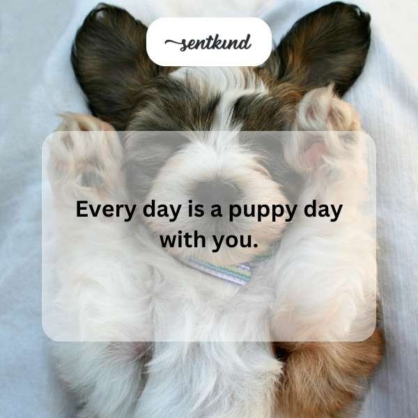 100+ Dog Best Friend Quotes, Captions and Messages