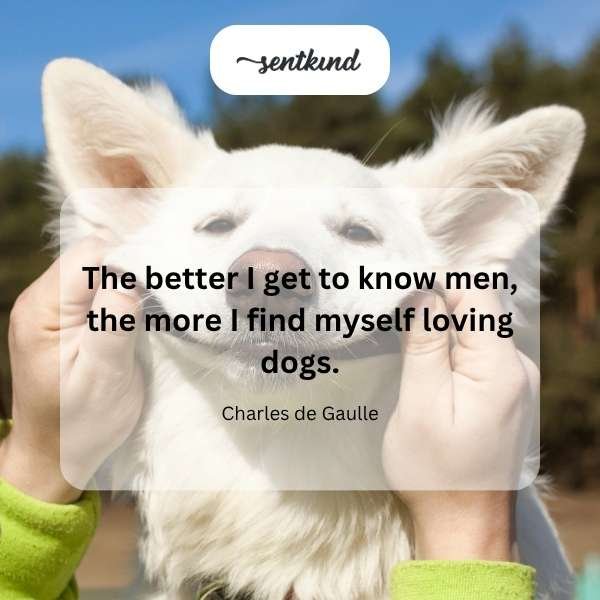 100+ Dog Best Friend Quotes, Captions and Messages