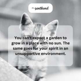 100+ Toxic Family Quotes That Tell Us How Not To Be