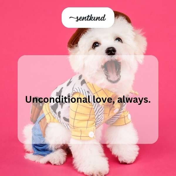 100+ Dog Best Friend Quotes, Captions and Messages