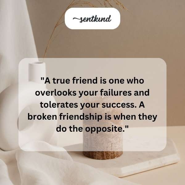 100+ Friendship Breakup Quotes for Emotional Healing