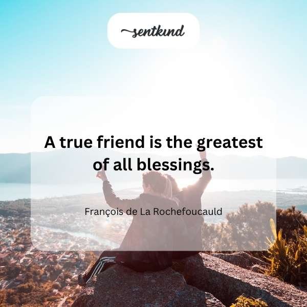 230+ Best Friend Quotes to Celebrate Your Special Bond