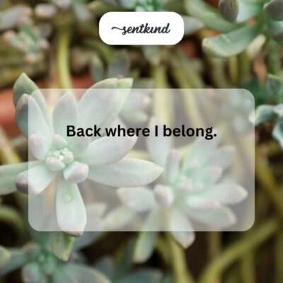 125+ Coming Home Quotes to Welcome You Back
