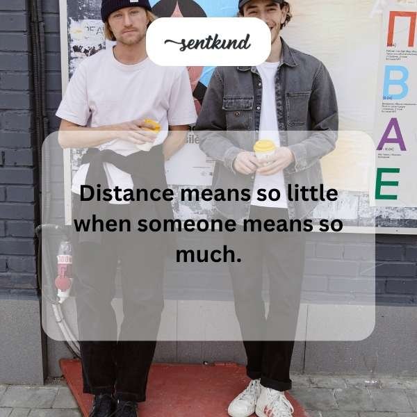 230+ Best Friend Quotes to Celebrate Your Special Bond