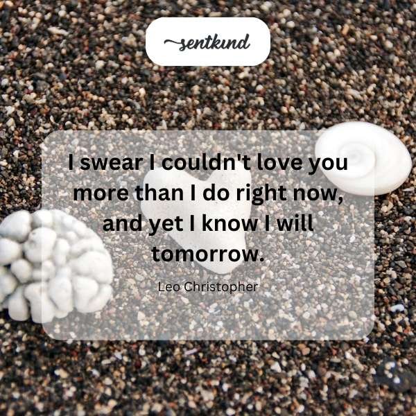 110+ Best Relationship Quotes That Perfectly Capture Love and Connection