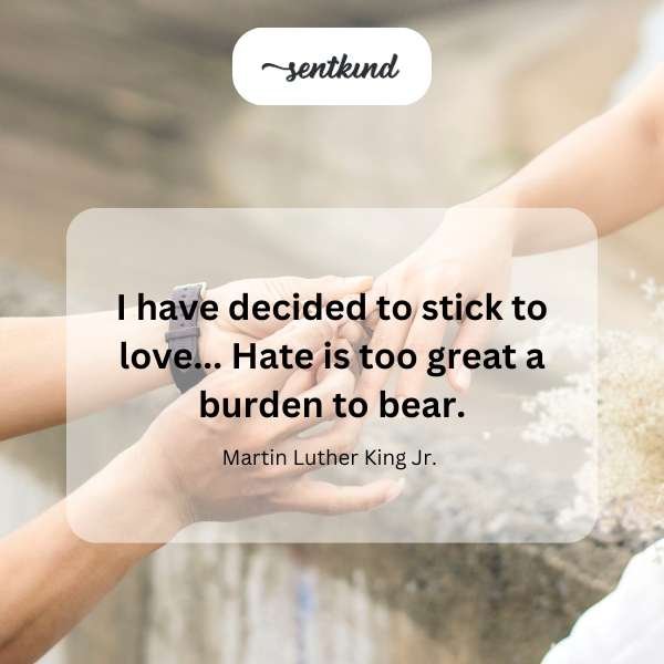60+ Timeless Love Quotes That Will Melt Your Heart Forever