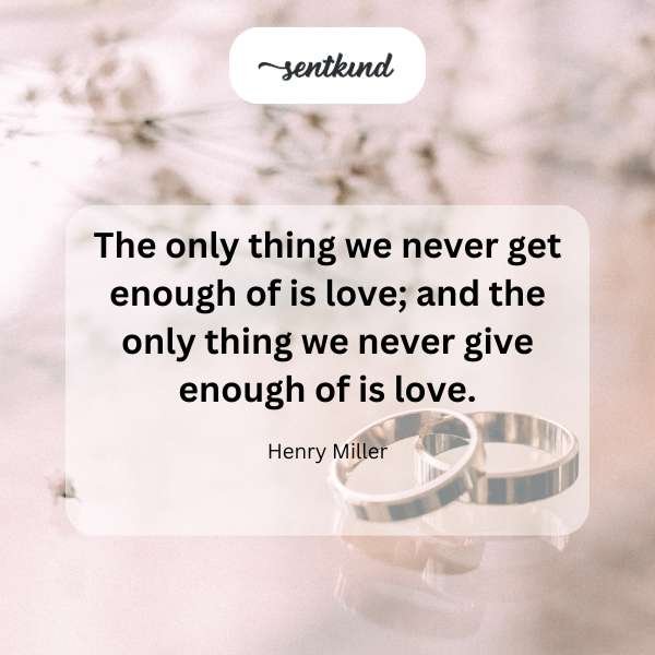 60+ Timeless Love Quotes That Will Melt Your Heart Forever