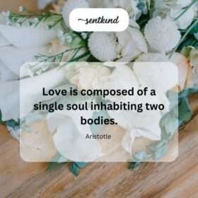 60+ Timeless Love Quotes That Will Melt Your Heart Forever