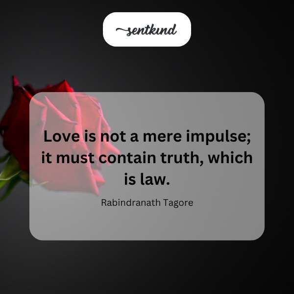 60+ Timeless Love Quotes That Will Melt Your Heart Forever