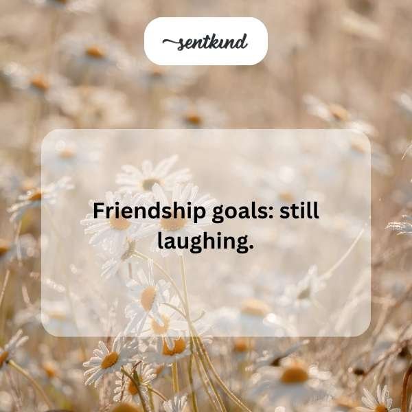 120+ Funny Quotes About Friends To Make Your BFF LOL
