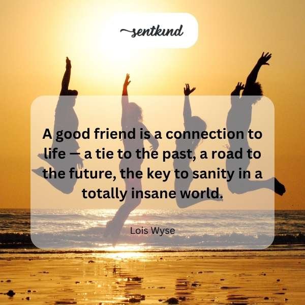230+ Best Friend Quotes to Celebrate Your Special Bond