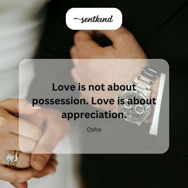 60+ Timeless Love Quotes That Will Melt Your Heart Forever