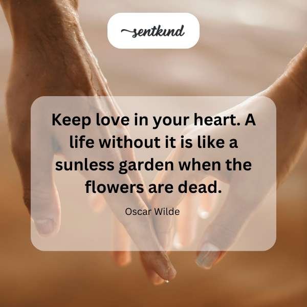 60+ Timeless Love Quotes That Will Melt Your Heart Forever
