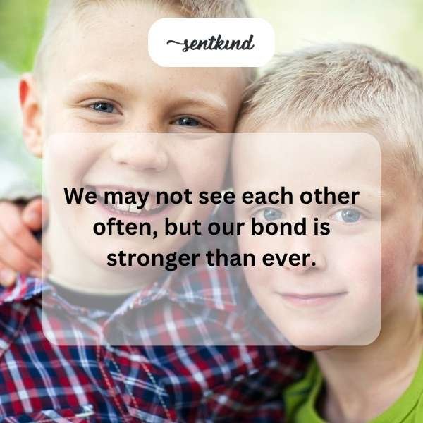 230+ Best Friend Quotes to Celebrate Your Special Bond