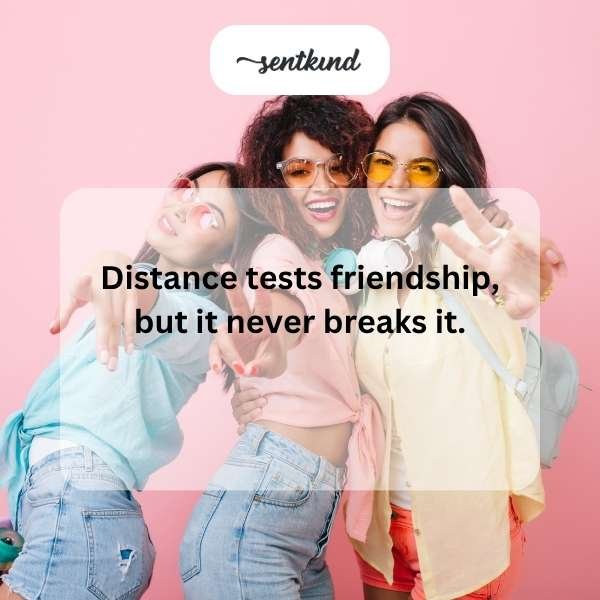 230+ Best Friend Quotes to Celebrate Your Special Bond