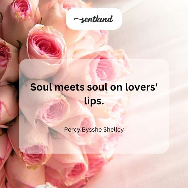 60+ Timeless Love Quotes That Will Melt Your Heart Forever