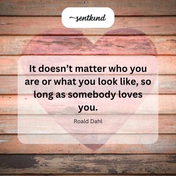 60+ Timeless Love Quotes That Will Melt Your Heart Forever