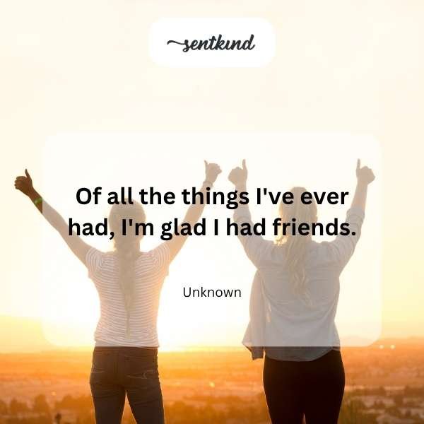 230+ Best Friend Quotes to Celebrate Your Special Bond