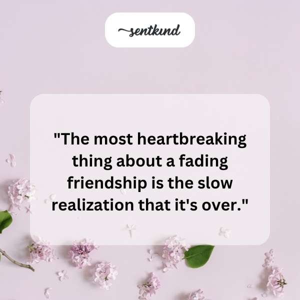 80+ Quotes About Friendships Changing