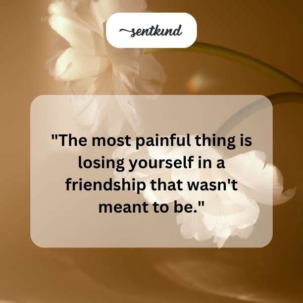 100+ Friendship Breakup Quotes for Emotional Healing