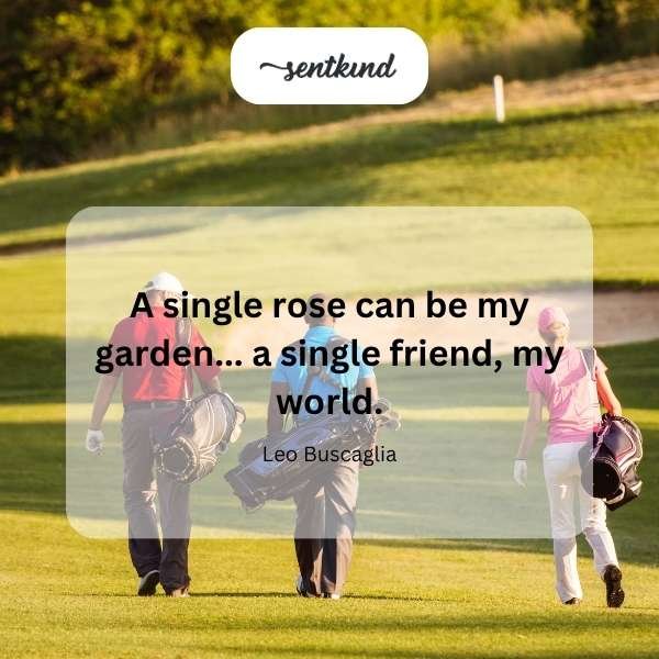 230+ Best Friend Quotes to Celebrate Your Special Bond