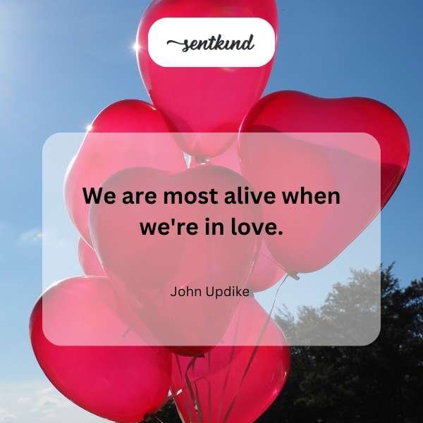 60+ Timeless Love Quotes That Will Melt Your Heart Forever
