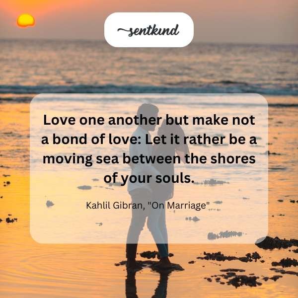 60+ Timeless Love Quotes That Will Melt Your Heart Forever