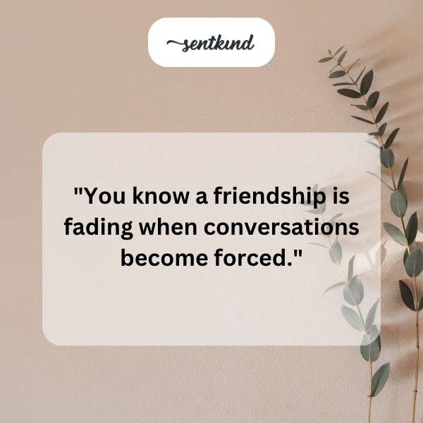 80+ Quotes About Friendships Changing