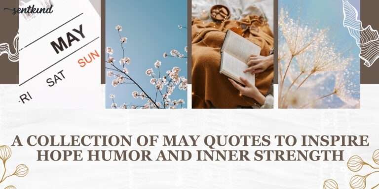 165+ May Quotes to Inspire Hope Humor and Inner Strength