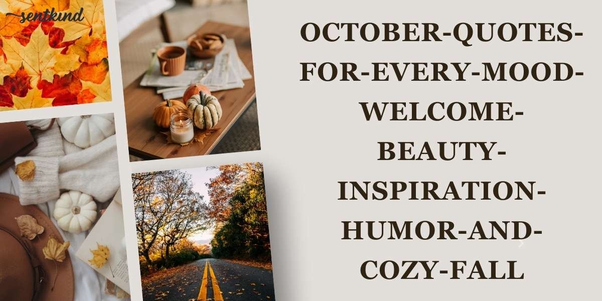 105+ Heartwarming Friday Quotes for Every Mood and Moment